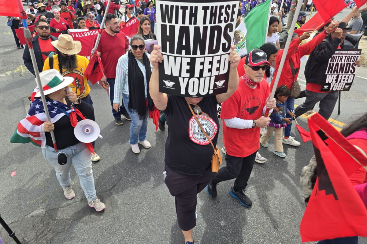 ‘It’s About People’: On César Chávez Day, Thousands March In Solidarity ...